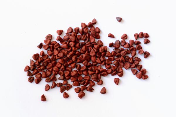 Tout savoir sur le roucou | Peko Peko